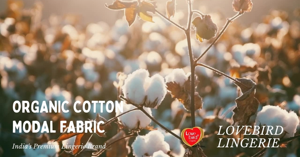 Lovebird Lingerie Fabric Guide: What Is Modal Fabric? Understanding and Why